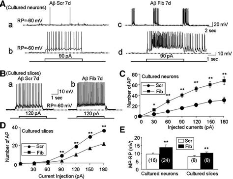 Chronic A Treatment Induces Neuronal Hyperexcitation A Cultured Download Scientific Diagram