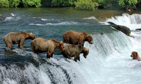 Top 10 Facts About Alaska Uk