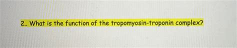 Solved 2 ﻿what Is The Function Of The Tropomyosin Troponin