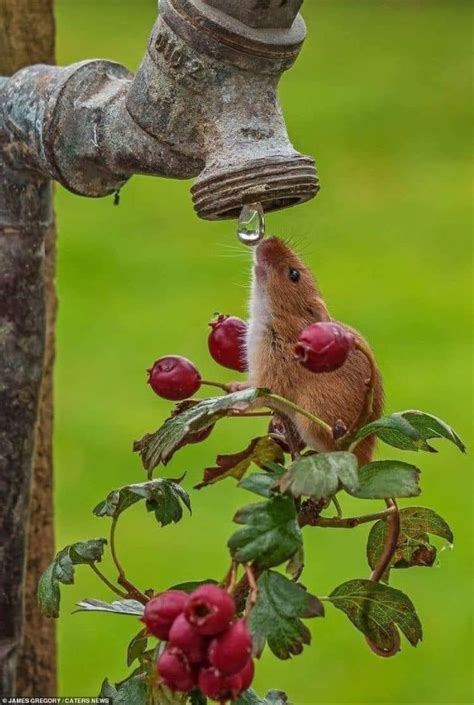 Dr Zohreh Majd Posted On Linkedin