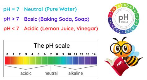 Acids Gcse Chemistry Explained With Examples