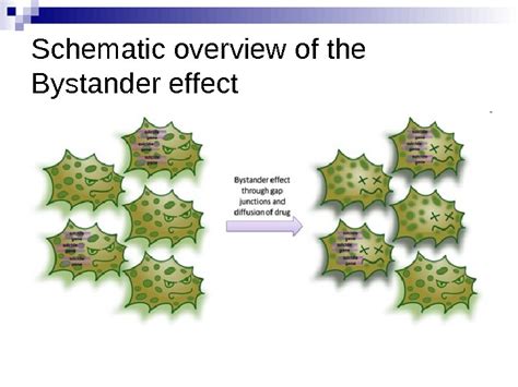 Bystander Effect The Bystander Effect Refers