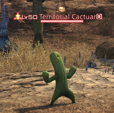 Territorial Cactuar Gamer Escapes Final Fantasy Xiv Ffxiv Ff14 Wiki