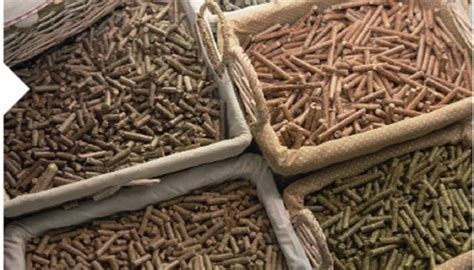 Animal Feed Animal Feed From Mumbai