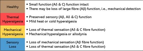 Quantitative Sensory Testing Qst Derived Sensory Phenotypes 43 And