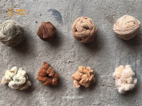 Naturally Colored Cotton From History To Fashionable