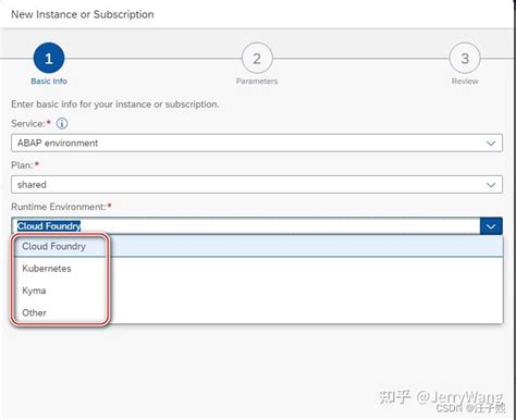 Sap Btp 的 Abap Environment 和 Cloudfoundry 环境的关系 知乎