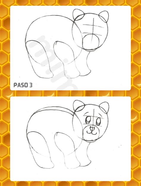 Cómo Dibujar Un Oso Paso A Paso Cómo Mimi Panda⁤