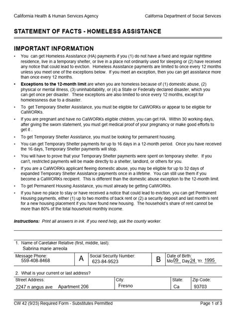 Homeless Application Pdf Homelessness
