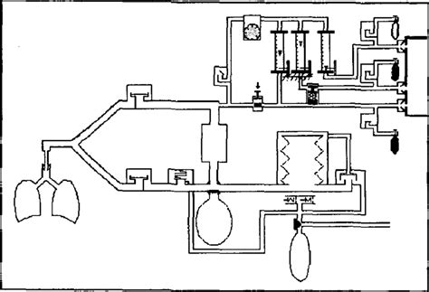 L The Total Schematic Of The Anesthesia Machine Including Breathing