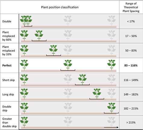 Plant Classification Chart Classifying Plants