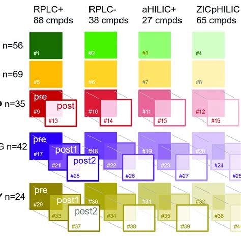 Schematic Diagram Of The Dataset Structure Composed Of 40 Data Download Scientific Diagram