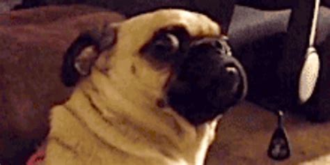 when the boss designates me for a client visit without asking the