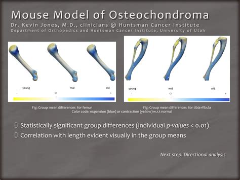 Ppt Statistical Shape Analysis Powerpoint Presentation Free Download Id 2670973