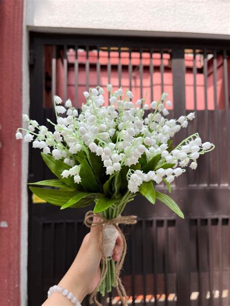 Ngh A B Hoa C I Linh Lan Midorishop Com Vn