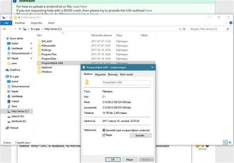 Hidden Program Files X On Windows Pro Bit Why Windows Forums