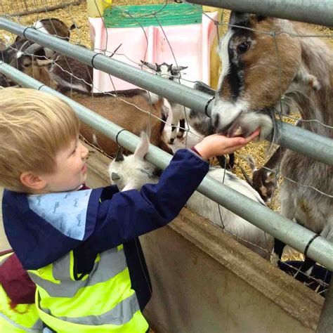 Rishworth School School Review Britannia 英識教育