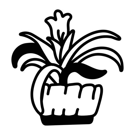 Trendy Bromeliad Concept 19802592 Vector Art At Vecteezy