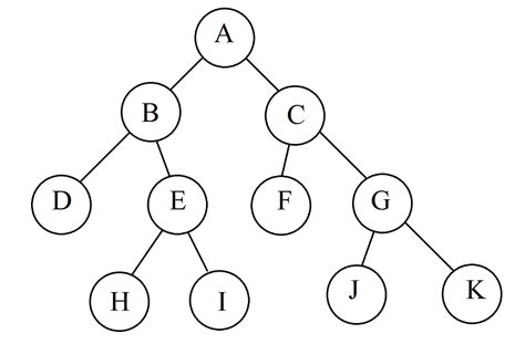 Algorithm Talk Day 4 Depth First Tree Traversal By Gene H Fang Medium