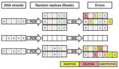 integrating fpga acceleration in the dnassim framework for faster dna based data storage simulations