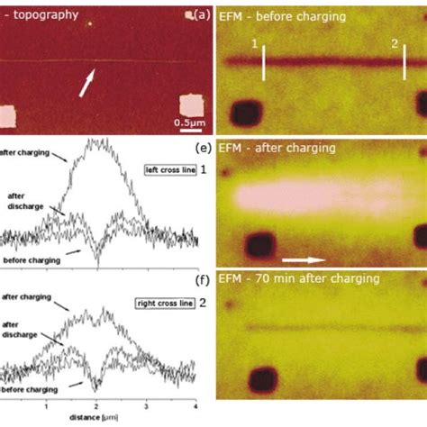 Electrostatic Force Microscopy A General Principle Download Scientific Diagram
