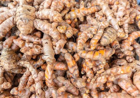 Herb Medicine Tumeric Root At Herbal Market Stock Image Image Of Bowl