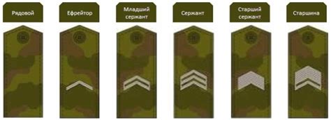 Погоны сержанта, сколько предусмотрено лычек для этого звания