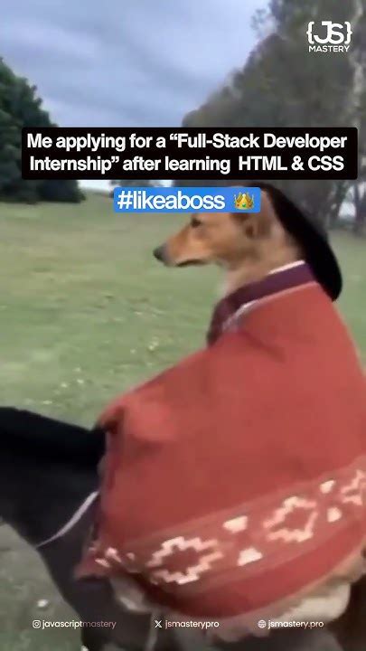 coding skills fetching 🤣 jokeoftheday developerhumor codingjoke