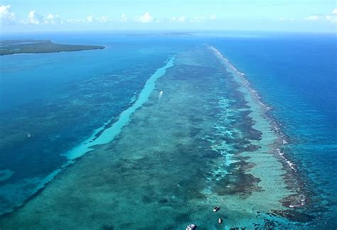 Coral Reefs Part 2 Fringing Reefs Barrier Reefs Atolls And Patch Reefs