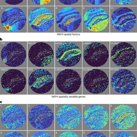 Benchmarking Spatial And Nonspatial Factor Models On Slide Seqv2 Mouse Download Scientific