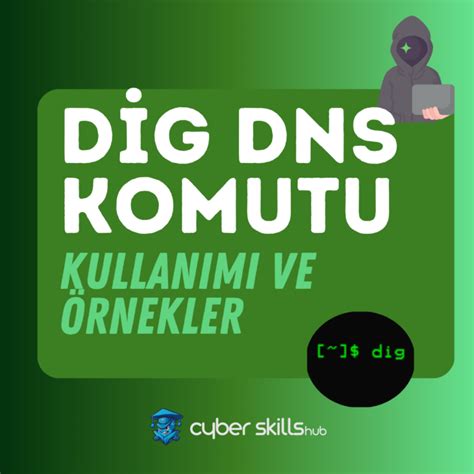 Dig Dns Command Usage Examples And Advanced Options