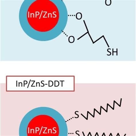 Illustration Of Coordination States Of Ligands On The Surface Of