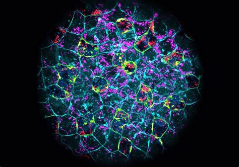 Molecular Biology Revolutionizes Research And Training