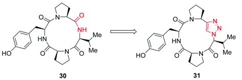 Substitution Of The Amide Bond In The Natural Product 30 With 1 4 Triazole Download