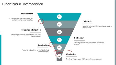 Eubacteria Ppt Ppt Guidelines Acp Ppt Presentation