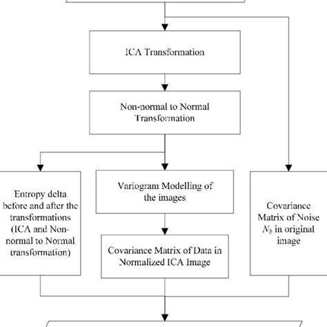 The Flowchart Describing The Methods For Quantifying Information
