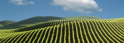 Danielle Diliberti Outlines How Storytelling Can Help Overcome Distance And Its About To Get