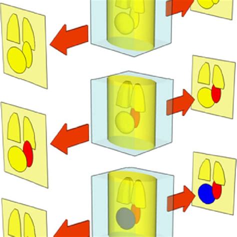 Schematic View Of The Activity Quantification Process With Planar Download Scientific Diagram