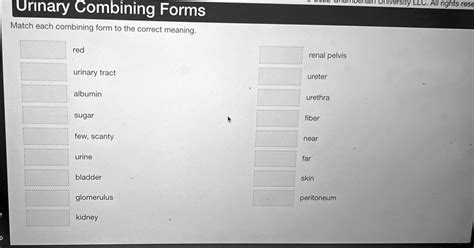 Urinary Combining Forms Match Each Combining Form To The Correct