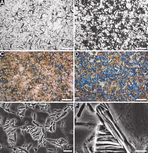 Microstructure Of 42crmo4 Steels Austempered Below M S At 310 °c Download Scientific Diagram