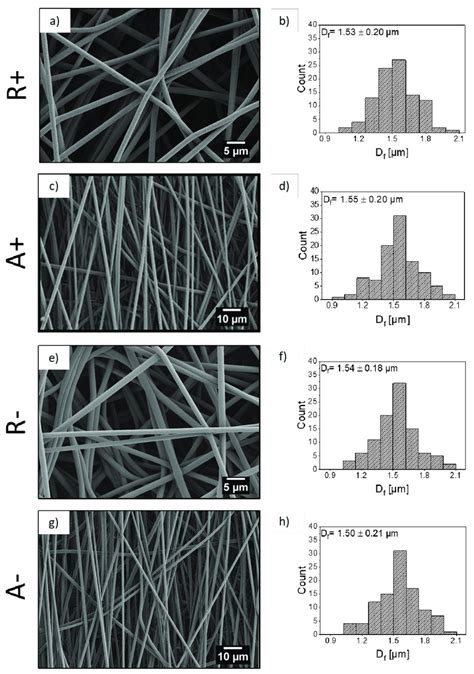 Scanning Electron Microscopy Sem Micrographs Of Pmma Random R And
