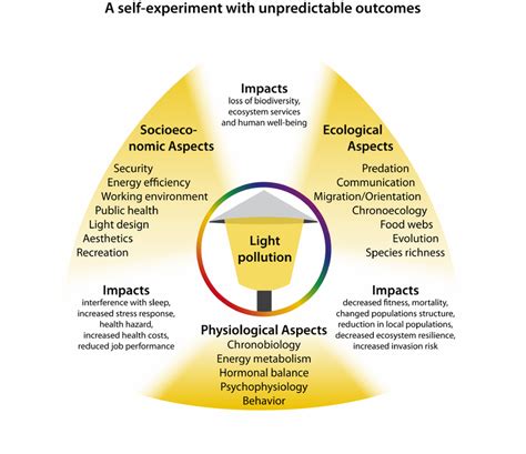 Review The Impact Of Light In Buildings On Human Health Eywup