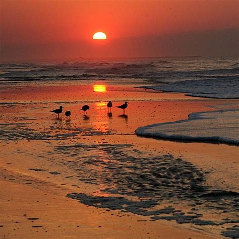 Fun At The Beach Page 3 Xnxx Adult Forum Fun At The Beach Page 3 Xnxx Adult Forum