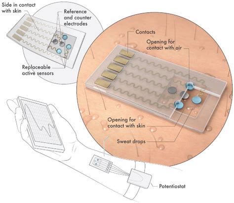 Figure 1 From A Mxene Based Wearable Biosensor System For High