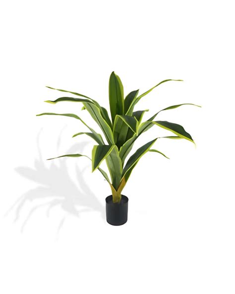 Mini Yellow Brazil Yd1009 Essops Home