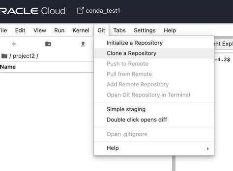 jupyterlab git extension