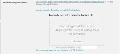backup restore wordpress site with updraftplus wpstairs
