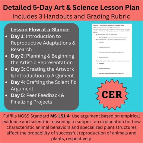 The Reproductive Rationale Art And Science Lesson Plan By Artfully Stem