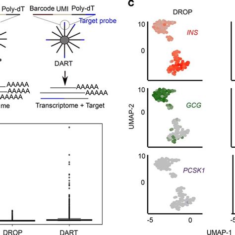Dart Seq Improves Detection Of Low Abundance Transcripts In Human
