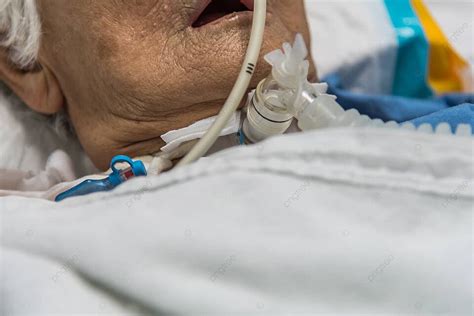 Patient Do Tracheostomy And Ventilator In Hospital Assistance Nursing